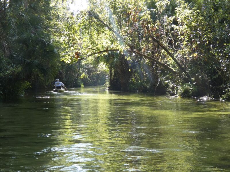 Orlando: Small Group Rock Springs Run Kayak Tour - Who Is This Tour Best For?