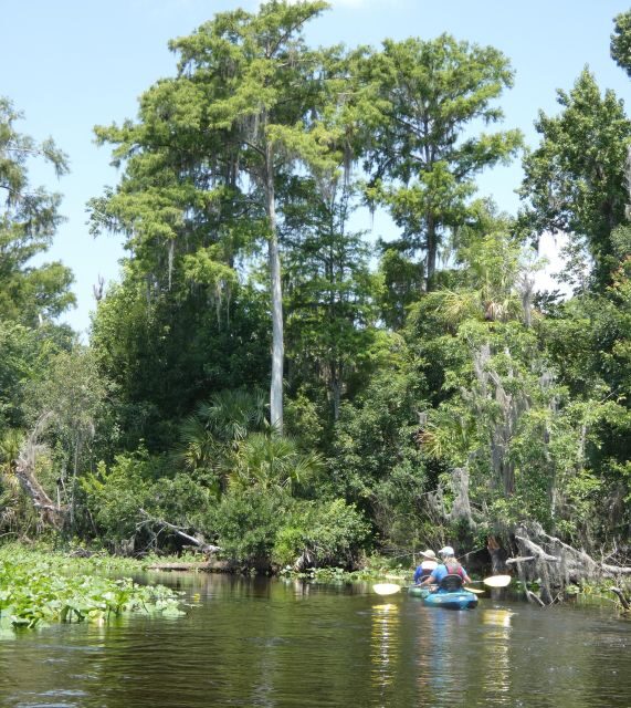 Orlando: Small Group Scenic Wekiva River Kayak Tour - The Value of Guided Expertise