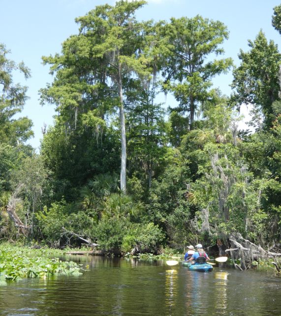 Orlando: Small Group Scenic Wekiva River Kayak Tour - What’s Included and What to Expect