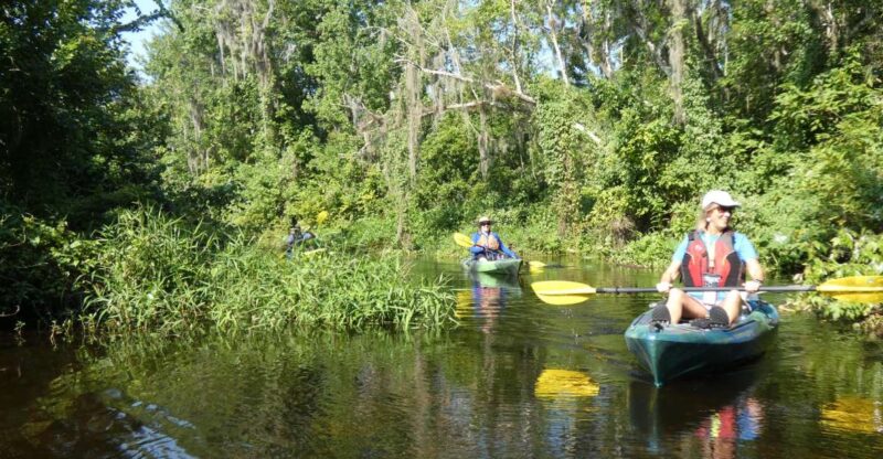 Orlando: Small Group Scenic Wekiva River Kayak Tour - The Value of the Tour
