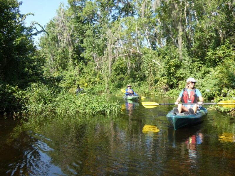 Orlando: Small Group Scenic Wekiva River Kayak Tour - Practical Tips for Participants