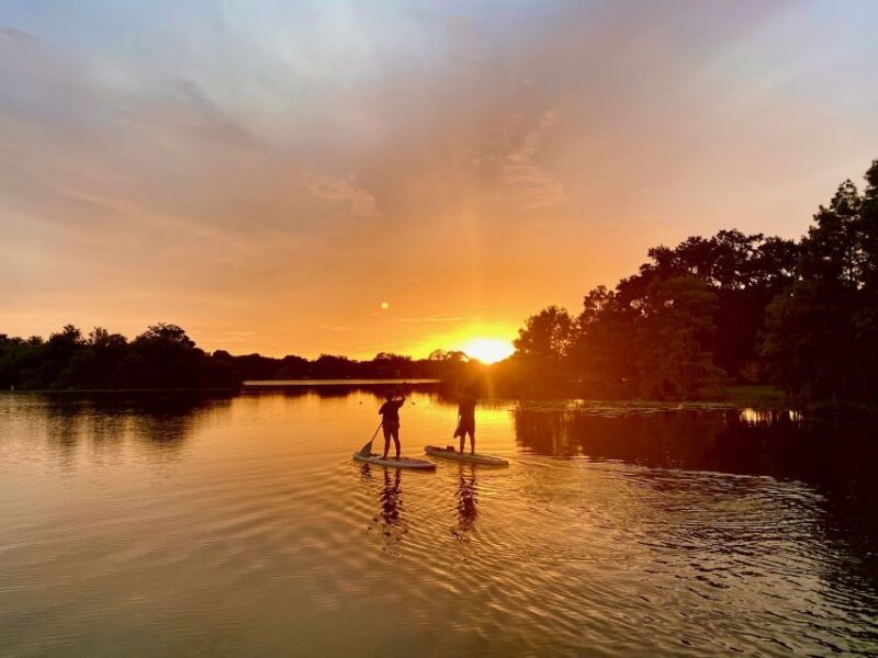 Orlando: Sunset Clear Kayak or Paddleboard in Paradise Tour - Practical Tips for Paddlers