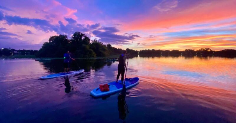 Orlando: Sunset Clear Kayak or Paddleboard in Paradise Tour - The Sum Up
