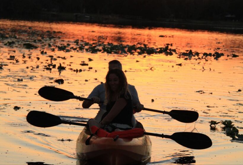 Orlando: Sunset guided kayaking tour - What to Expect on the Lake Triplet Sunset Kayak Tour