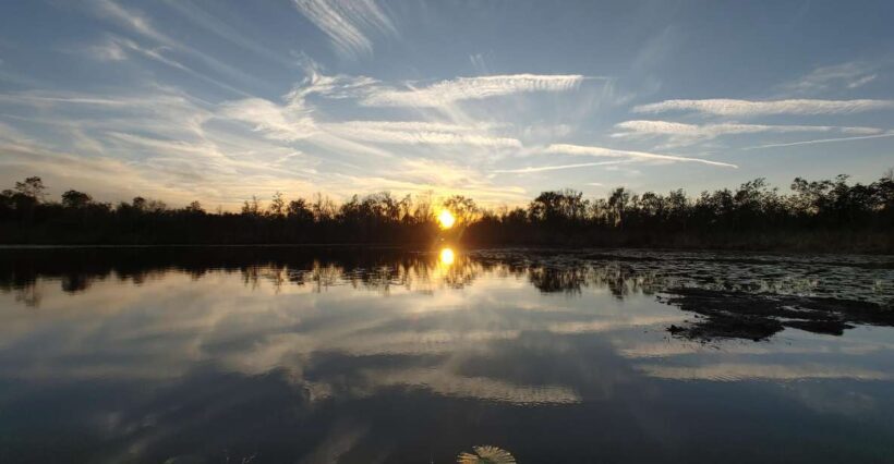 Orlando: Sunset guided kayaking tour - The Sum Up