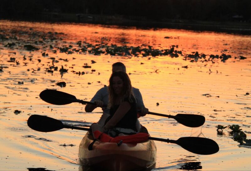 Orlando: Sunset guided kayaking tour - Who Will Love This Tour?