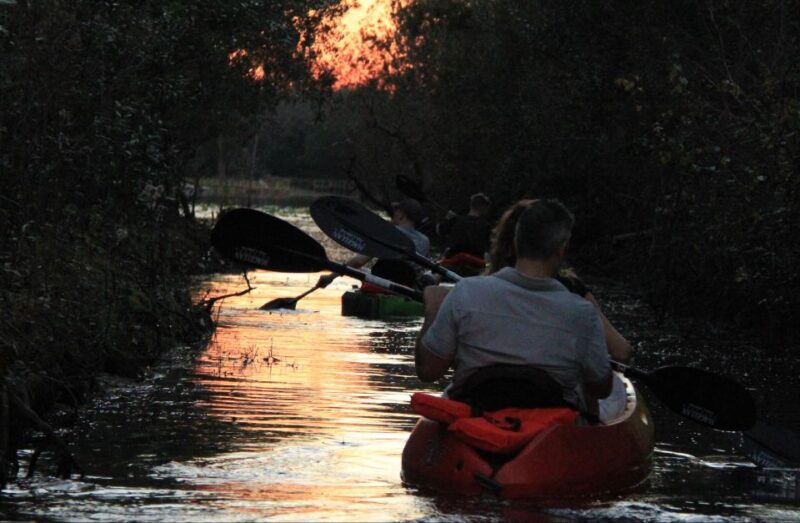 Orlando: Sunset guided kayaking tour - FAQ