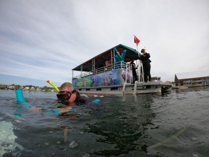 Orlando: Swim with Manatees and Homosassa State Park Visit - A Thorough Look at the Experience