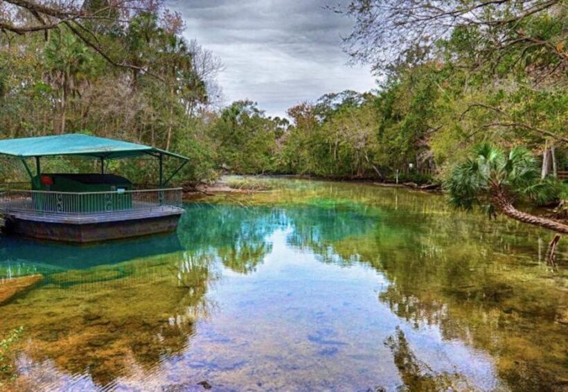Orlando: Swim with Manatees and Homosassa State Park Visit - The Sum Up: Who Will Love This Tour?
