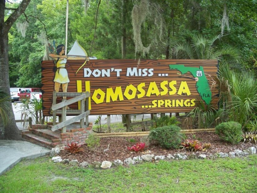 Orlando: Swim with Manatees and Homosassa State Park Visit - FAQ