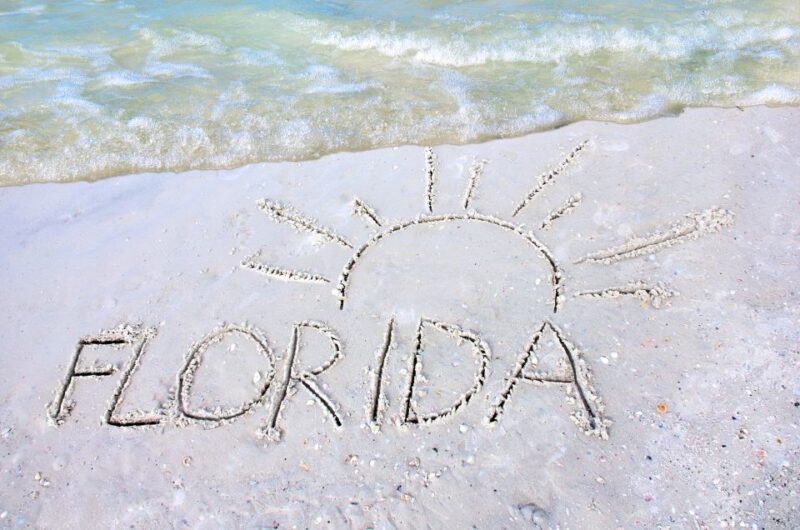 Orlando to Miami Shuttle: One-Way Trip - Analyzing the Value and Practicality