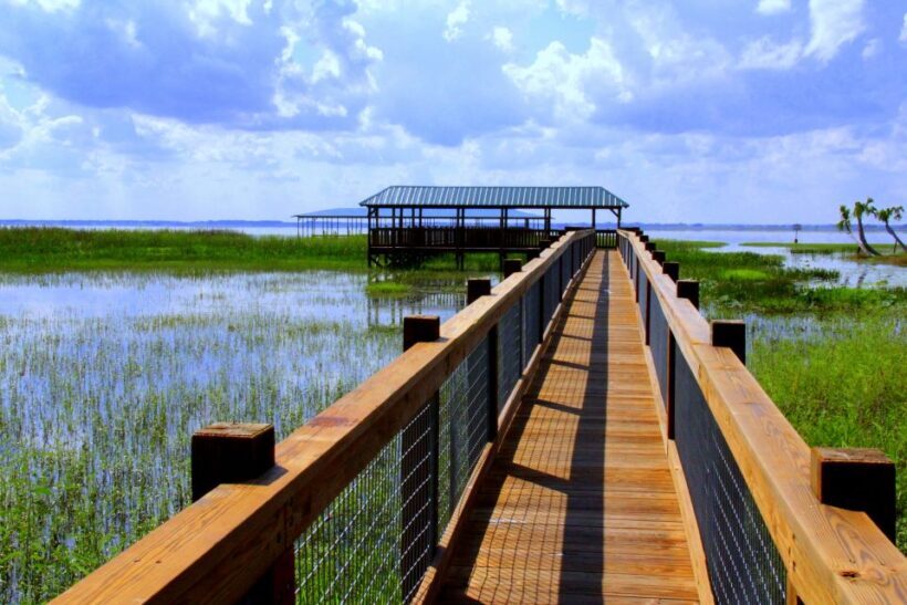 Orlando: Wild Florida Airboat Ride with Transport & Lunch - Practical Considerations