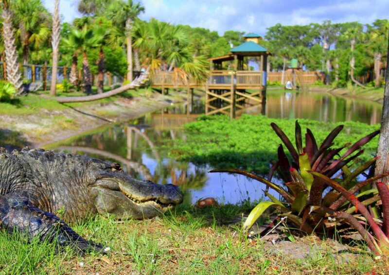 Orlando: Wild Florida Airboat Ride with Transport & Lunch - What Makes This Tour Stand Out