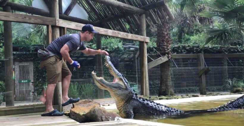 Orlando: Wild Florida Park Ticket and Gator Shows - Key Points