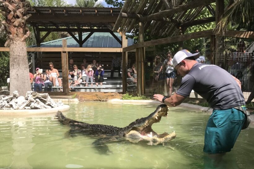 Orlando: Wild Florida Park Ticket and Gator Shows - Authentic Voices: What Visitors Say