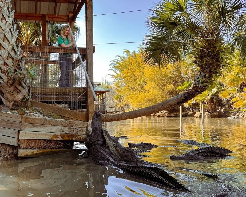 Orlando: Wild Florida Park Ticket and Gator Shows - Final Thoughts: Who Will Love This?