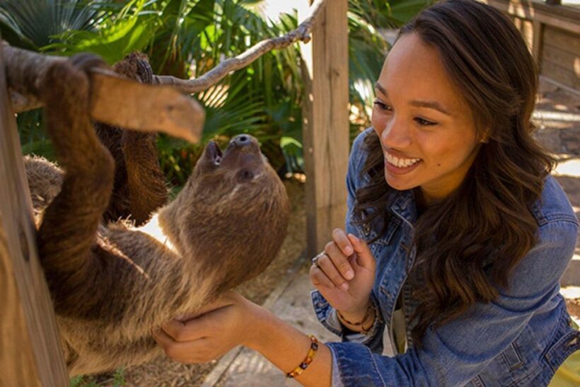 Orlando: Wild Florida Park Ticket and Gator Shows - The Sum Up: Why Choose Wild Florida?