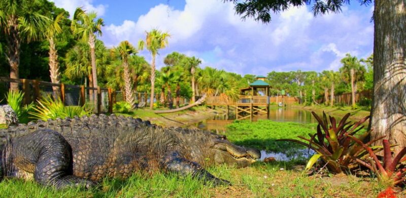 Orlando: Wild Florida Park Ticket and Gator Shows - Key Points