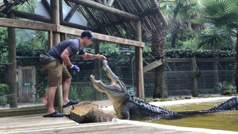 Orlando: Wild Florida Park Ticket and Gator Shows - Who Will Love Wild Florida?