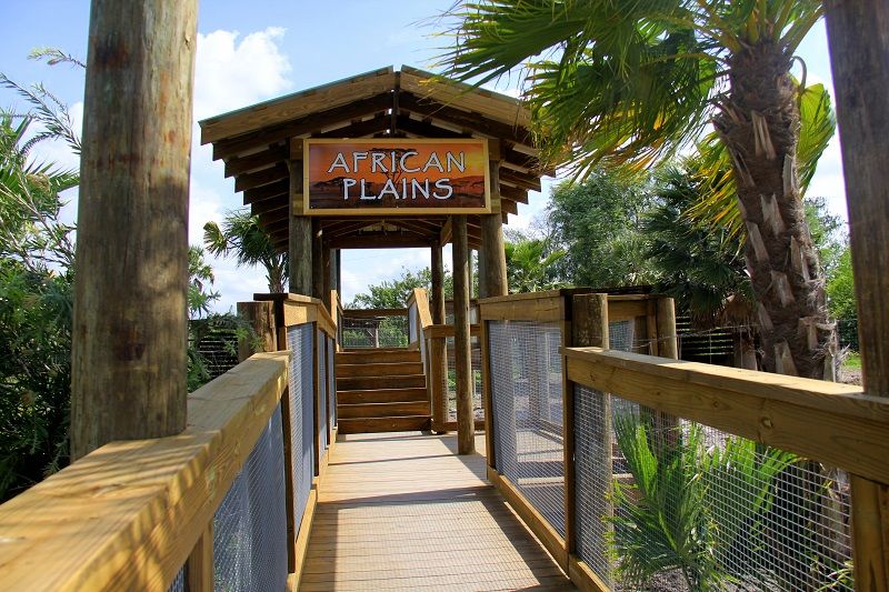 Orlando: Wild Florida Park Ticket and Gator Shows - Final Thoughts: Why Choose Wild Florida?