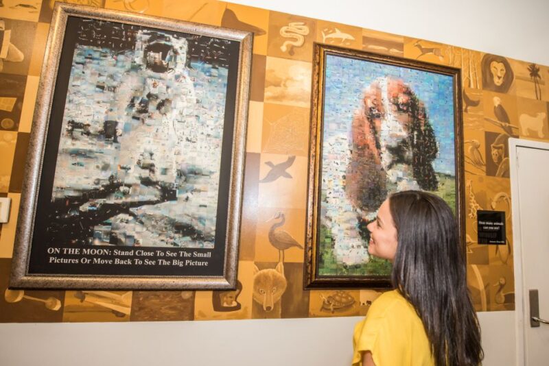 Orlando: WonderWorks Nighttime Entry Ticket - FAQ