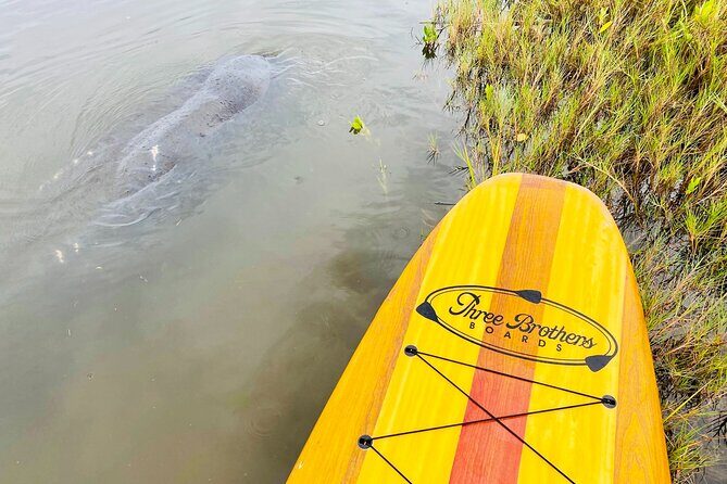Ormond Beach Manatee and Nature Tour Kayaking or Paddle Boarding - The Sum Up