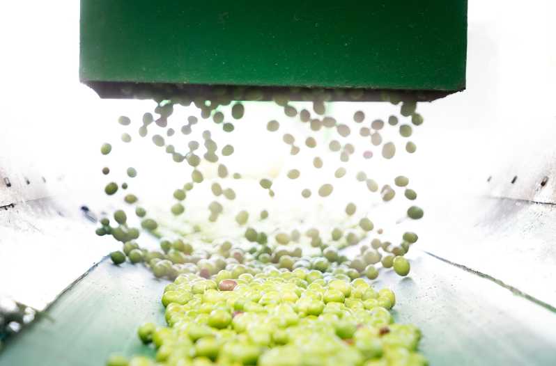 "Oro Bailén": Explore the Oil Mill + Tasting - Key Points