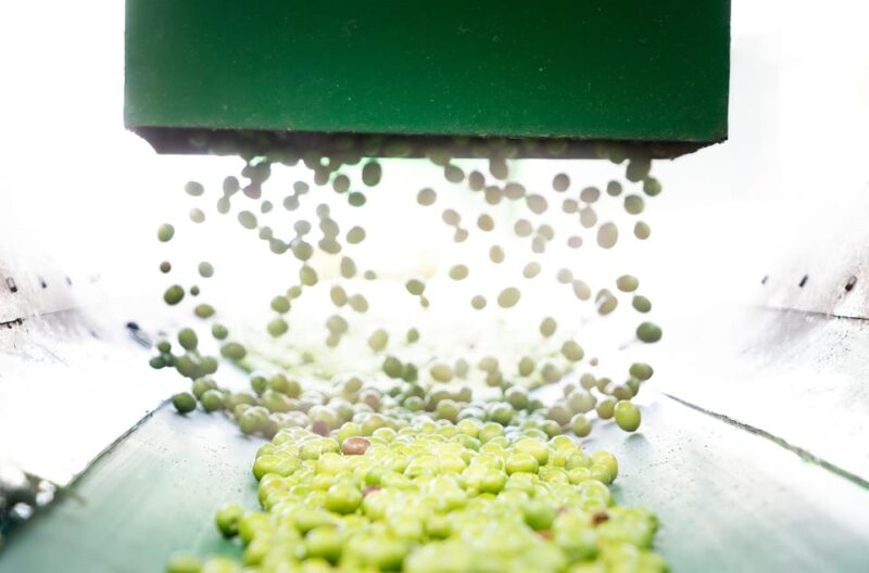 "Oro Bailén": Explore the Oil Mill + Tasting - Breaking Down the Itinerary: What You’ll Experience