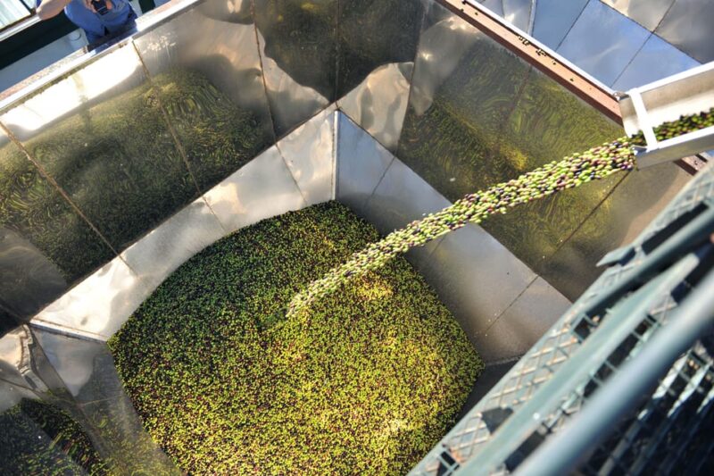 "Oro Bailén": Explore the Oil Mill + Tasting - Final Thoughts