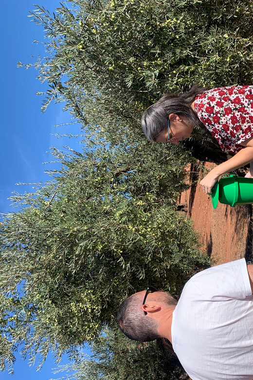"Oro Bailén": Tour of Oro Bailen Grove + Mill + Tasting - FAQ