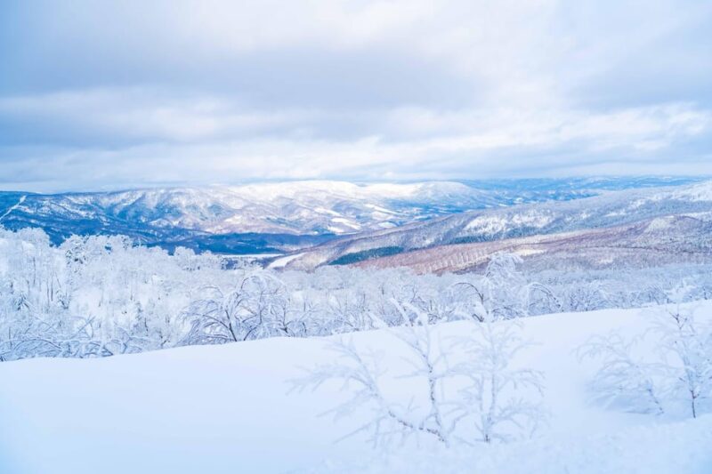 Orofure Pass Half-day Snowshoeing Tour - Experience Highlights