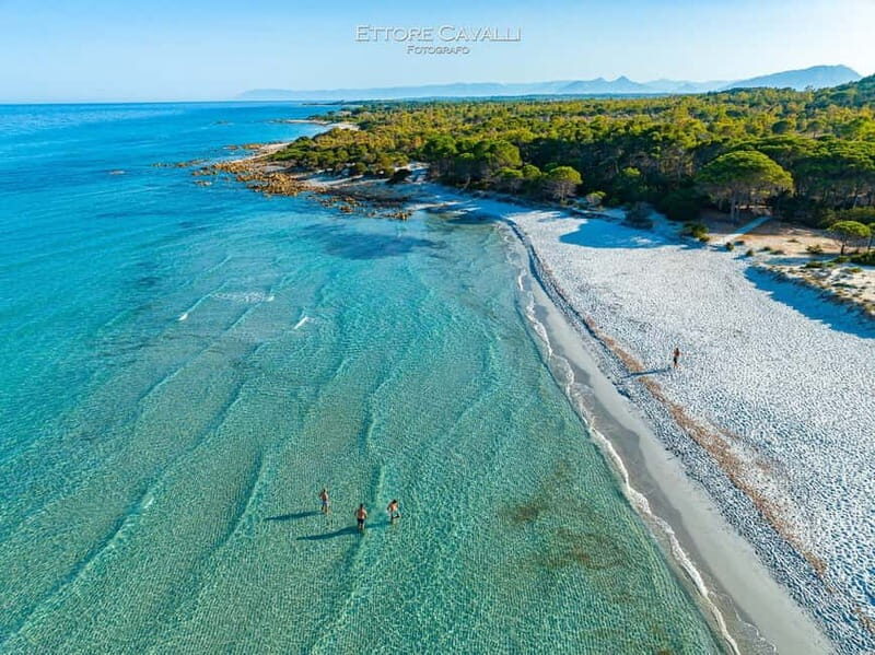 Orosei: 4x4 Tour Oasi di Biderosa and Capo Comino Beach - Authentic Experiences & Traveler Feedback