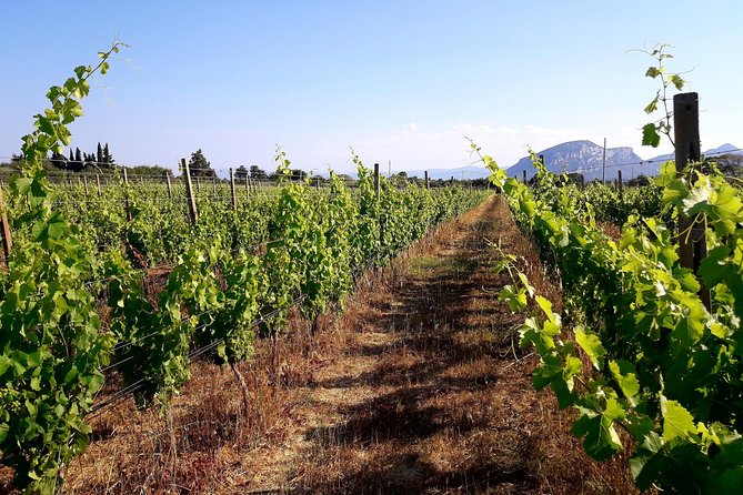 Orosei - 4x4 Tour & wine tasting - Practical Details & Value