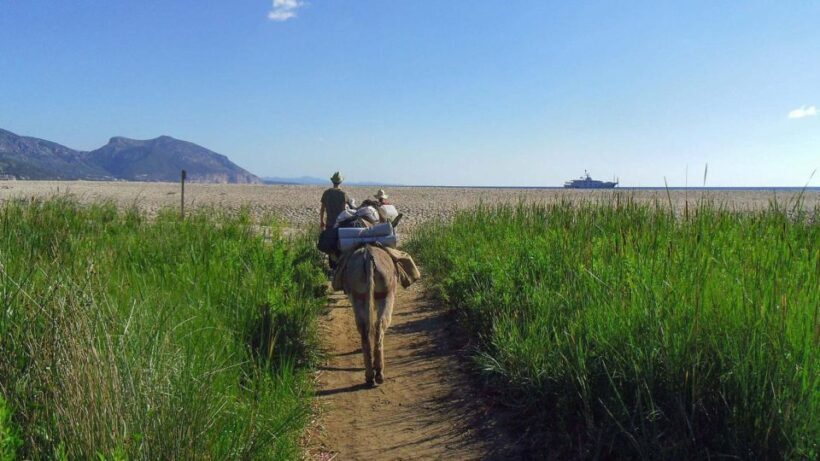 Orosei Gulf: 3 days trekking with donkeys - Why You’ll Love This Tour