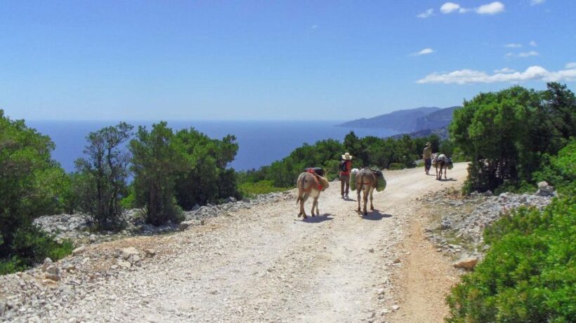 Orosei Gulf: 3 days trekking with donkeys - Final Thoughts: Is This the Right Adventure for You?