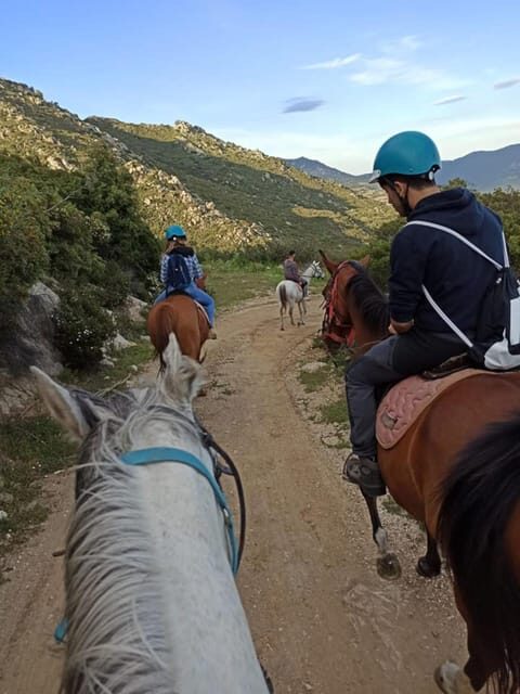 Orosei: horse riding on the beach - Key Points