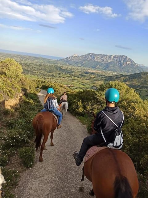 Orosei: horse riding on the beach - The Sum Up