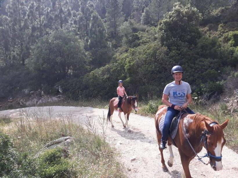 Orosei: horseback riding in the Irgoli area - A Closer Look at the Experience