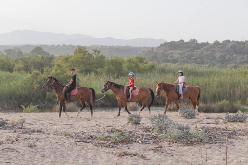 Orosei: horseback riding in the Irgoli area - Final Thoughts on the Experience