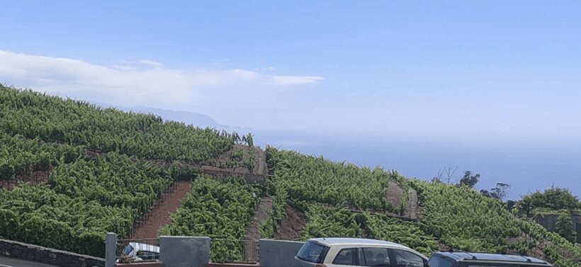 Orotava Valley: wine as a product of heroes - Key Points