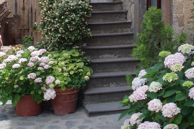 Orvieto and Civita Di Bagnoregio: Private Full Day Trip From Rome - Frequently Asked Questions