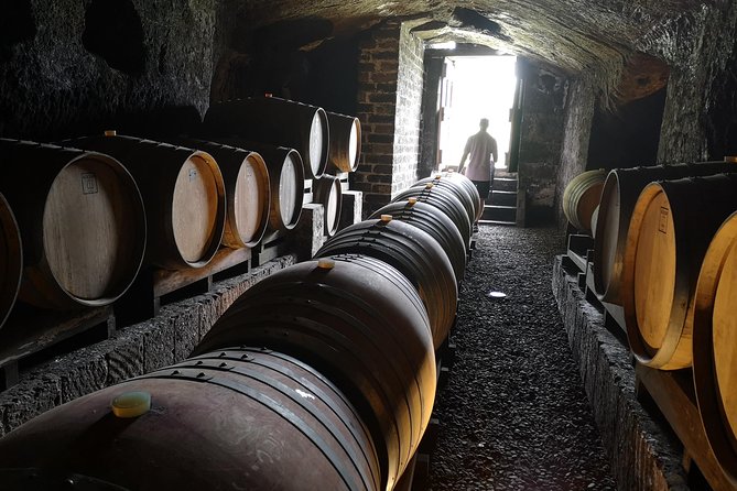 Orvieto by Evening: Small Group E-Bike Tour With Dinner - Traveler Reviews and Feedback