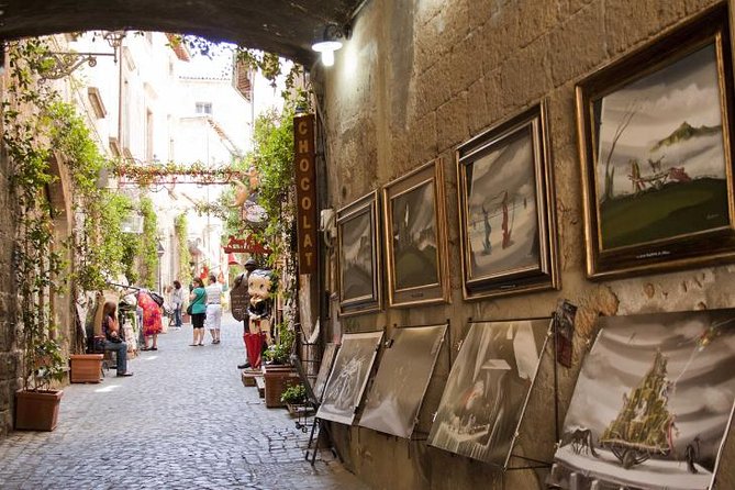 Orvieto & Civita di Bagnoregio Port Tour Driver Only Self Touring - Pricing and Value