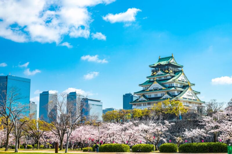 Osaka: 1-Day Private Customizable Trip by Car - Tour Features and Benefits