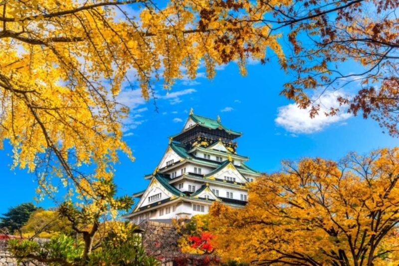 Osaka: 10-Hour Customizable Tour With Private Car - Key Points