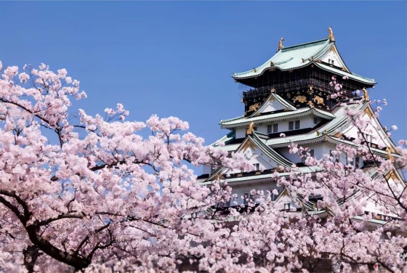 Osaka: 10-Hour Customizable Tour With Private Car - Booking Information