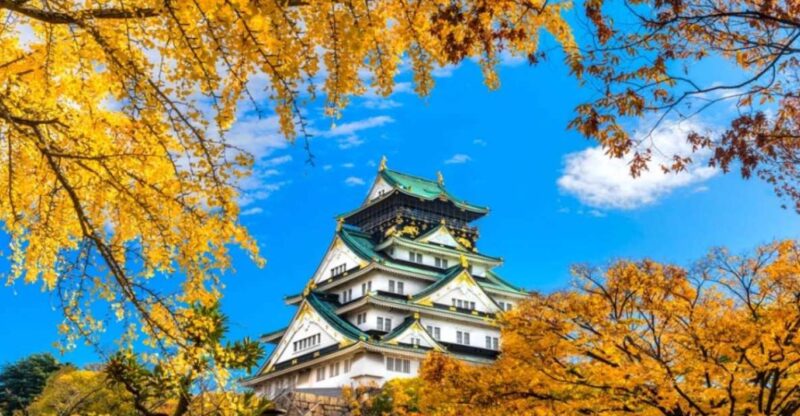 Osaka: 10-Hour Customizable Tour With Private Car - Inclusions and Fees