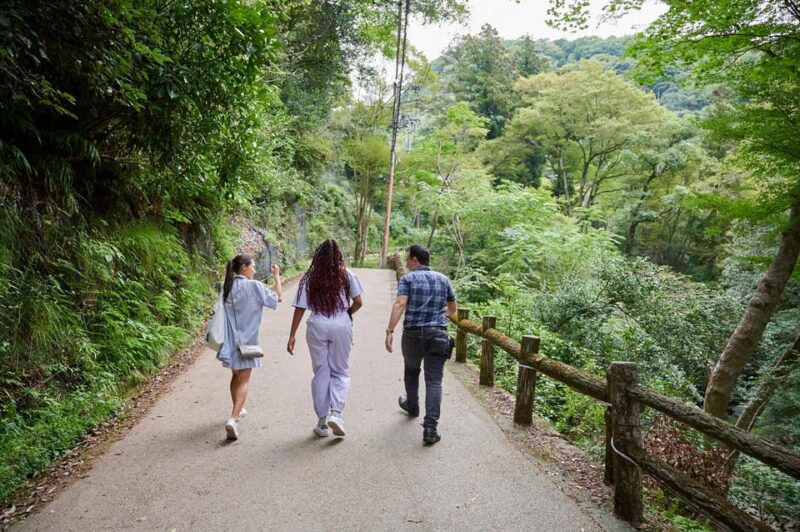 Osaka: 2.5-Hour Private Scenic Hike to Minoo Waterfall - Itinerary Details