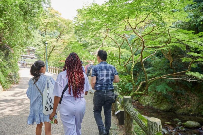 Osaka: 2.5-Hour Private Scenic Hike to Minoo Waterfall - Tips for a Memorable Hike