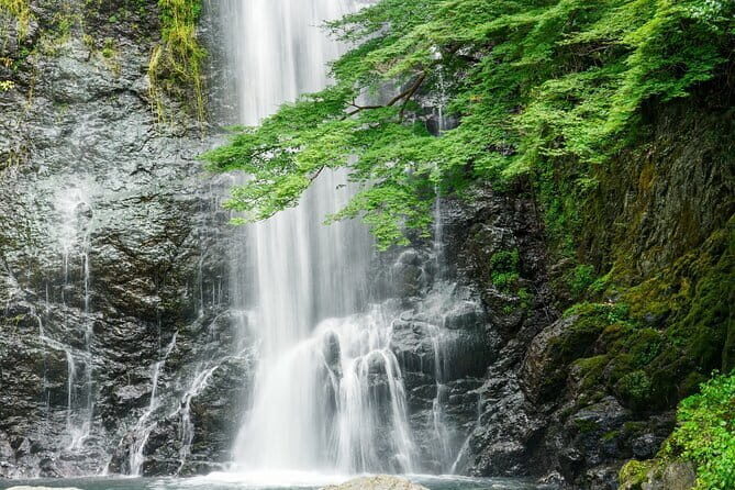 Osaka 8 Hours Tour Explore City and Minoh Falls - An In-Depth Look at the Itinerary